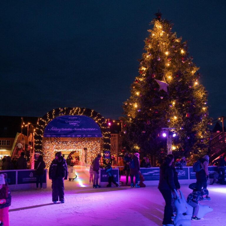 Winter Wonderland with LOXONE | Loxone References